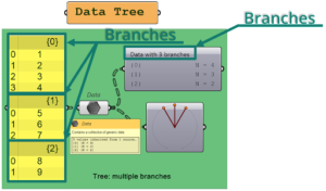 A Beginner's Guide to Data Trees in Grasshopper